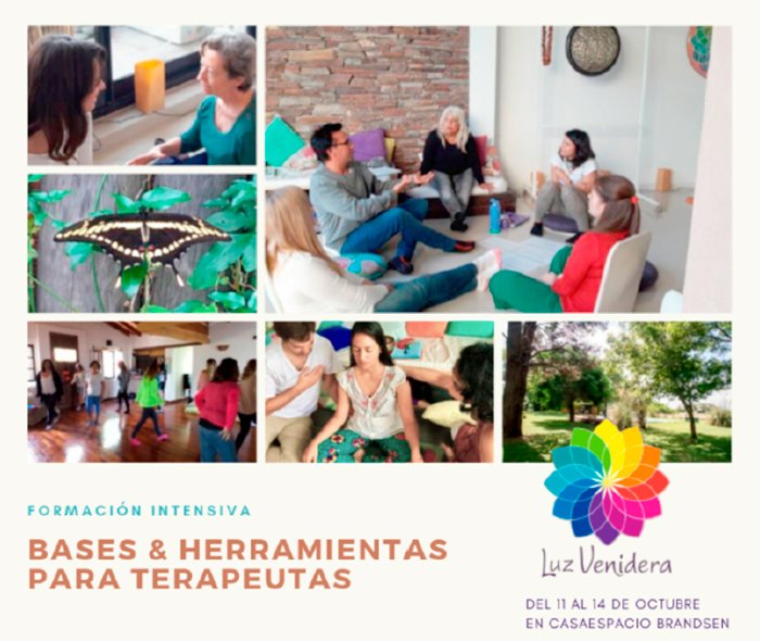 Bases y Herramientas para Terapeutas dictado por Monique Crespo, Dir ...